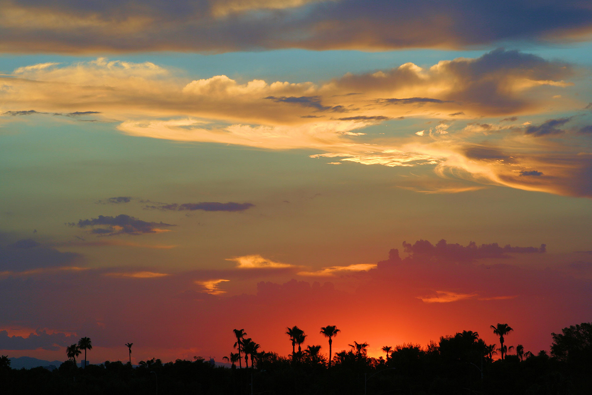 Ingenu Appoints Dan Halvorson as Executive Vice President and Chief ...